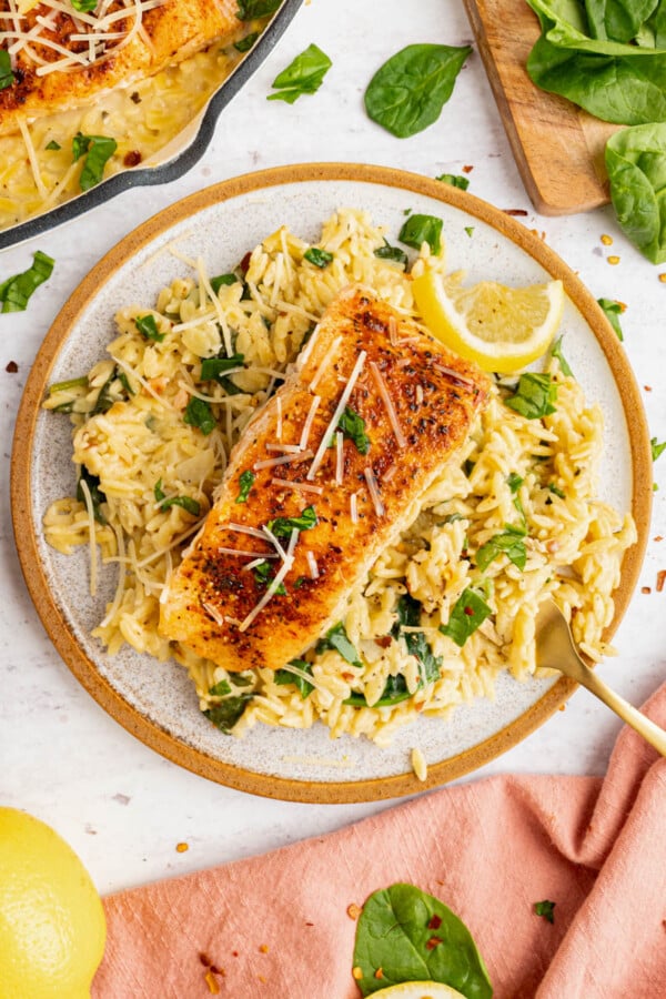 Lemon Salmon Orzo - Toni's Recipes