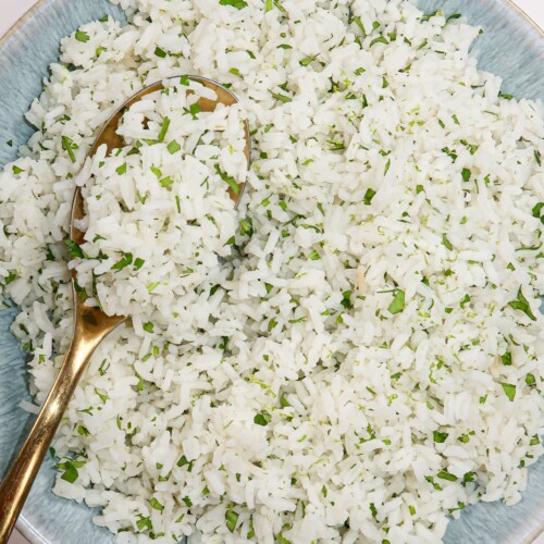 Chicken and Broccoli Alfredo Bake - Toni's Recipes