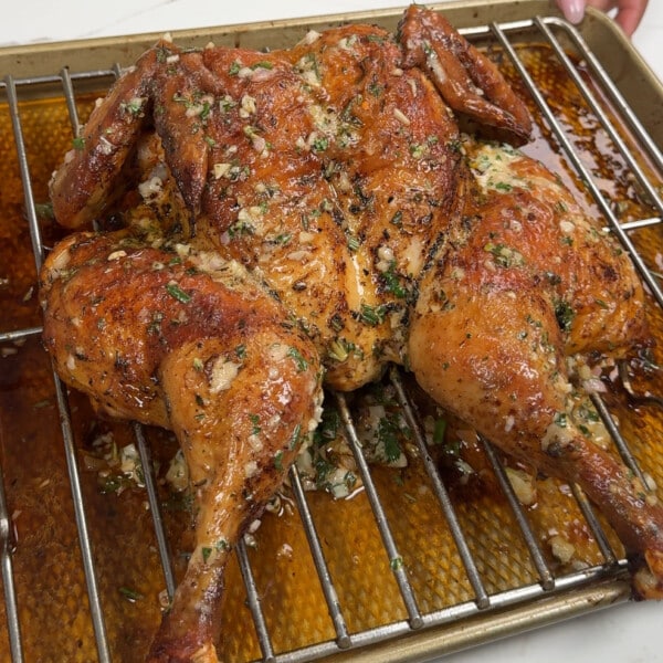 Perfect Roasted Chicken - Toni's Recipes